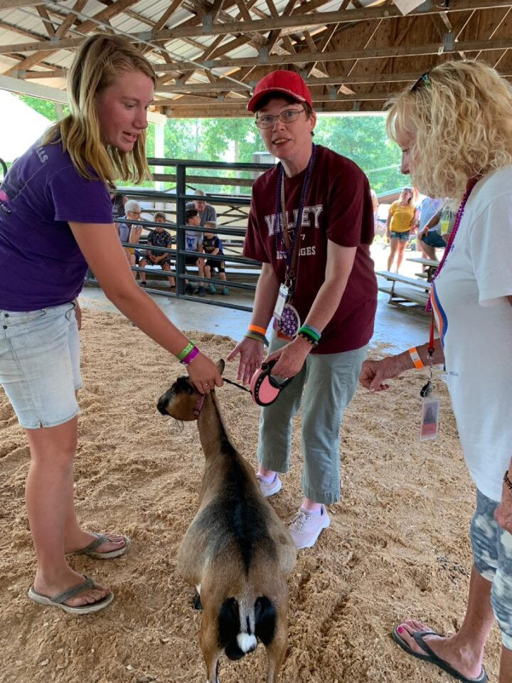 Clarion County Fair: Disability Awareness Day - Milestone HCQU West Blog