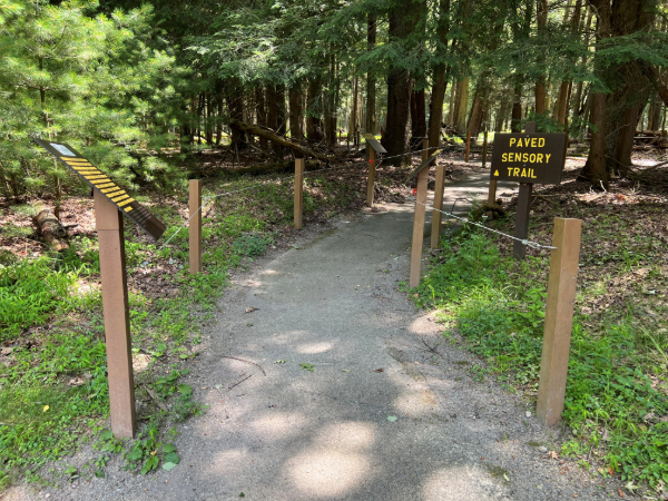 The Sensory Trail: A Trail for All - Milestone HCQU West Blog